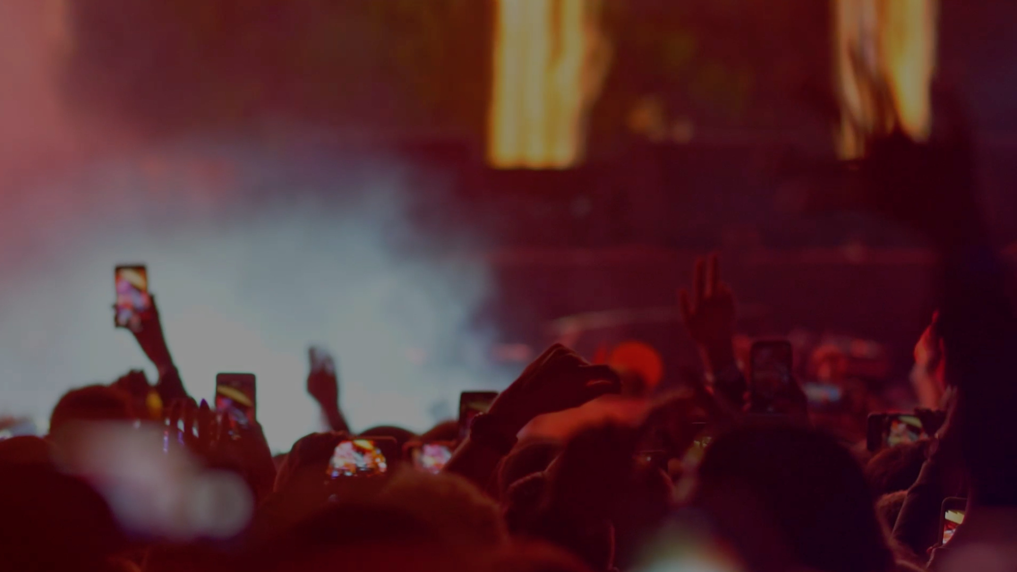 Superloop - Entity3 – Brand Creative, Strategy and Insights – Agency site